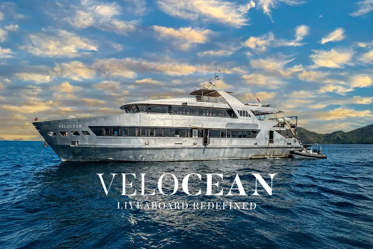 Velocean 벨로션 - 인투블 리브어보드